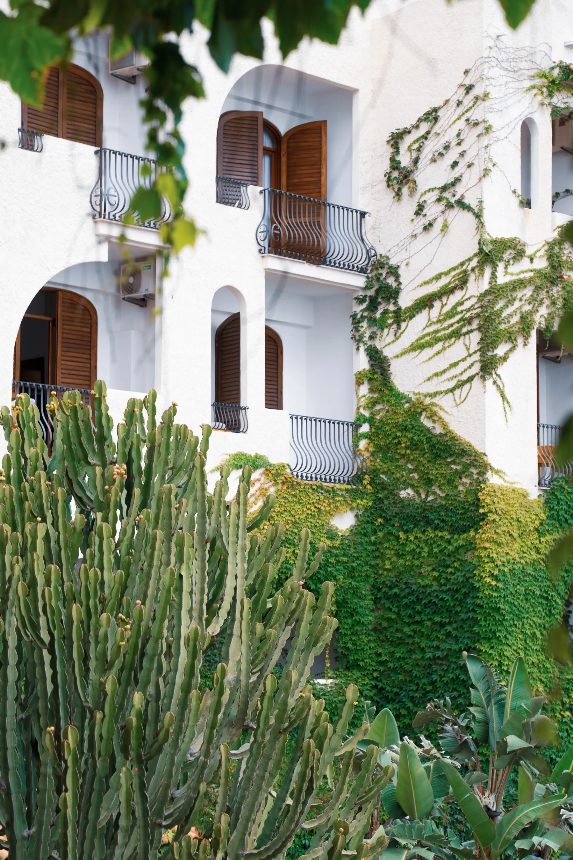 Carasco Hotel - Eolie - Sicily